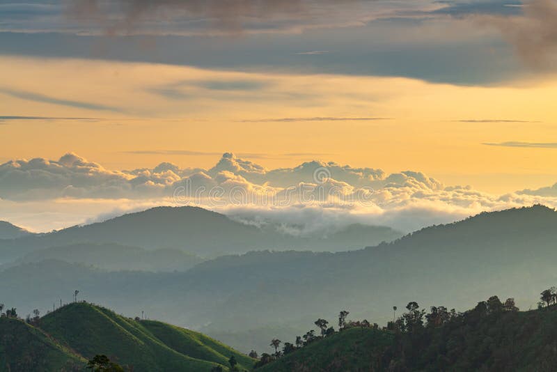 Complexity of Mountain Landscape and Tree Diversity of Forest with ...