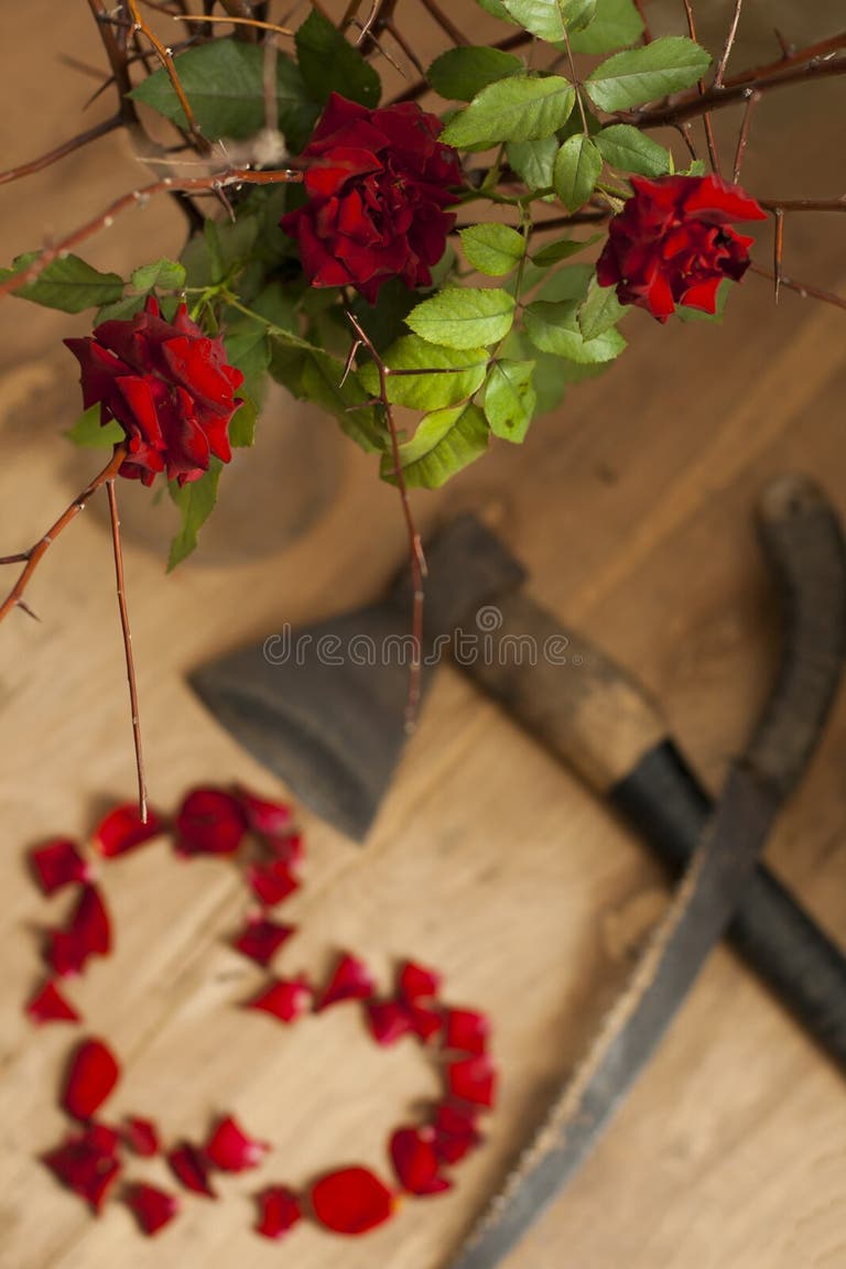 Thorned Rose Stock Photos - Free & Royalty-Free Stock Photos from ...