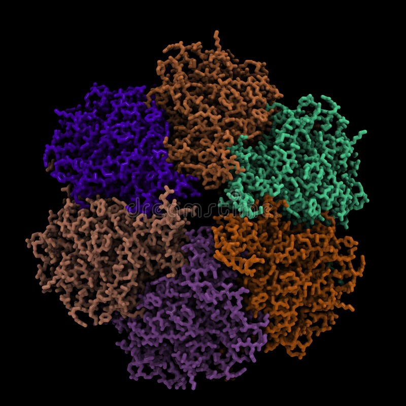 Isomerase GPI De Glucose-6-phosphate, Uma Enzima Ilustração Stock ...