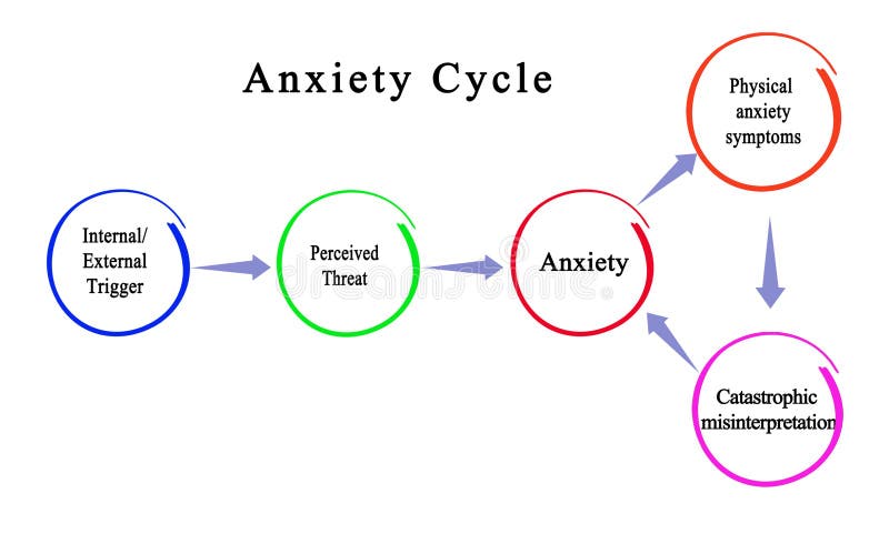 Components of Anxiety Cycle Stock Photo - Image of 3882, catastrophic ...