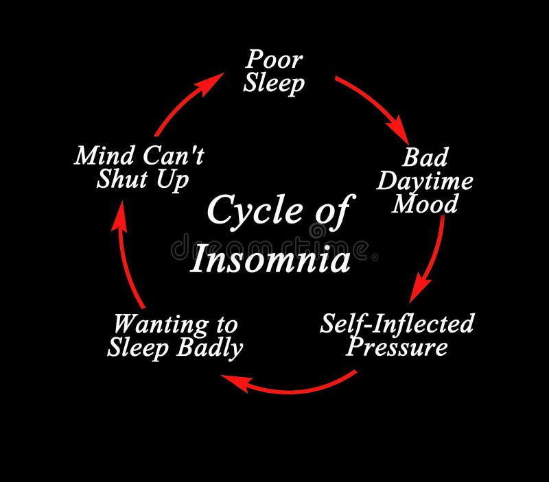 Sleep Cycle Stages stock illustration. Illustration of drowsiness ...