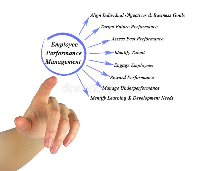 Employee Performance Management Stock Photo - Image of human ...