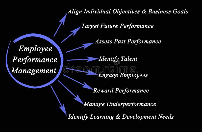 Employee Performance Management Stock Illustration - Illustration of ...
