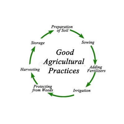 Components of Good Agricultural Practices Stock Illustration ...