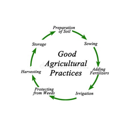 Components of Good Agricultural Practices Stock Illustration ...