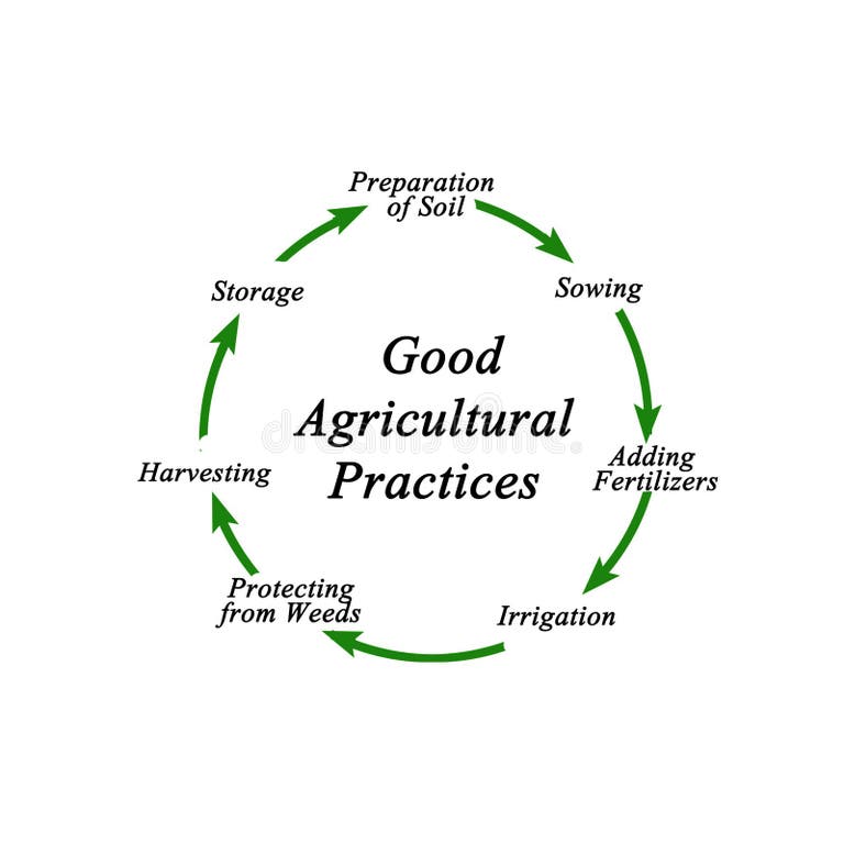 Components of Good Agricultural Practices Stock Illustration ...
