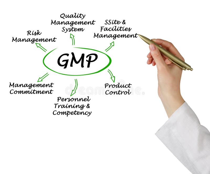 Good Manufacturing Practice GMP Stock Photo - Image of 2927, female ...