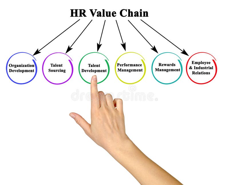 HR Value Chain stock image. Image of consulting, hire - 194484173
