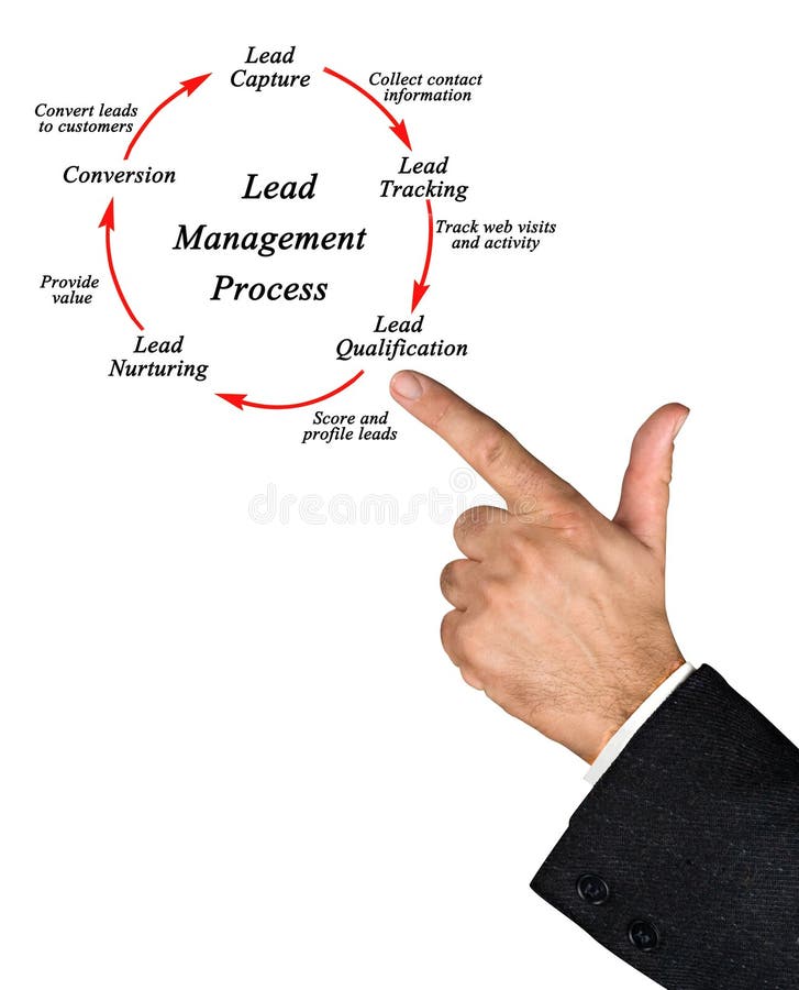 Components of Lead Management Process Stock Photo - Image of management ...