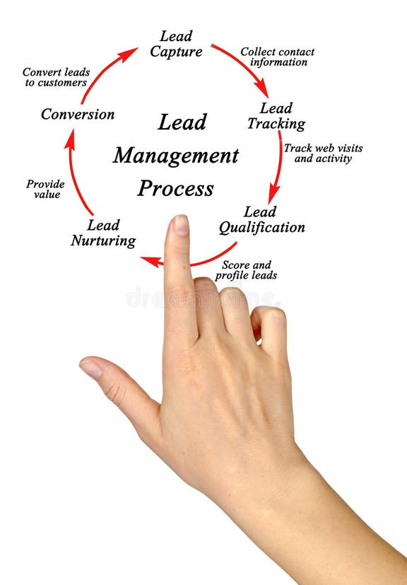 Components of Lead Management Process Stock Photo - Image of process ...