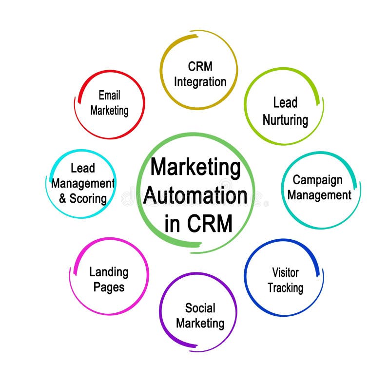 Components of Marketing Plan Stock Illustration - Illustration of ...