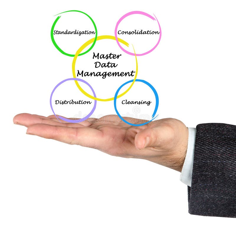 Master Data Management stock photo. Image of components - 117883256