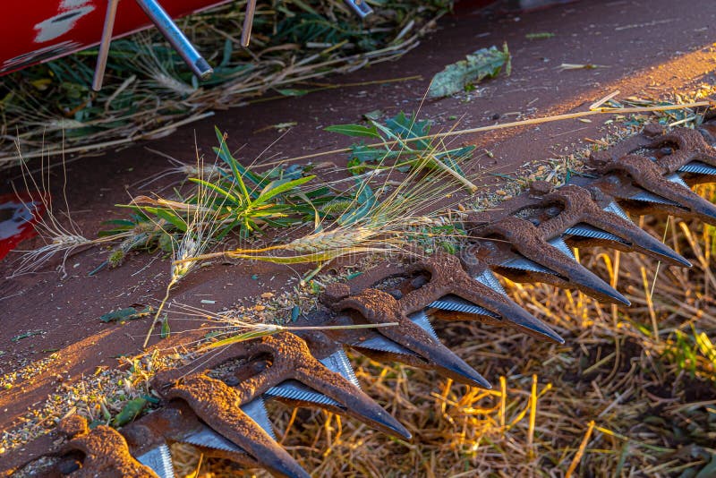 Components and Parts of the Combine Close-up Stock Photo - Image of ...