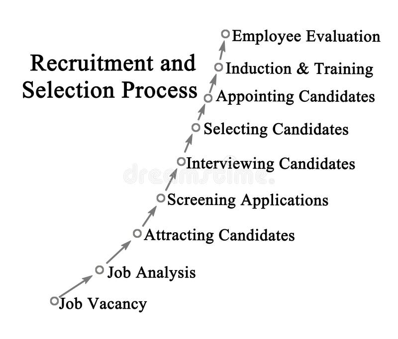 Recruitment and Selection Process Stock Illustration - Illustration of ...