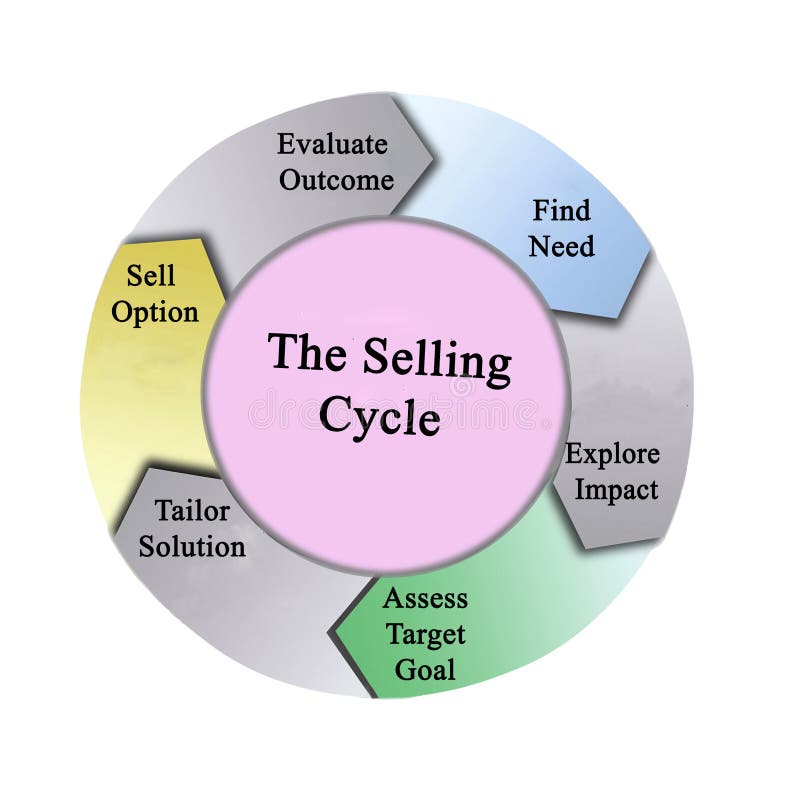 Components of Selling Cycle Stock Illustration - Illustration of assess ...