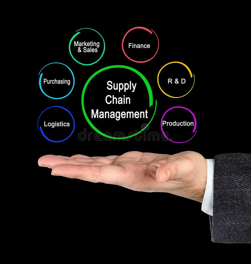Supply Chain Management stock photo. Image of palm, reserch - 242565646 Supply Chain Management stock photo. Image of palm, reserch - 242565646