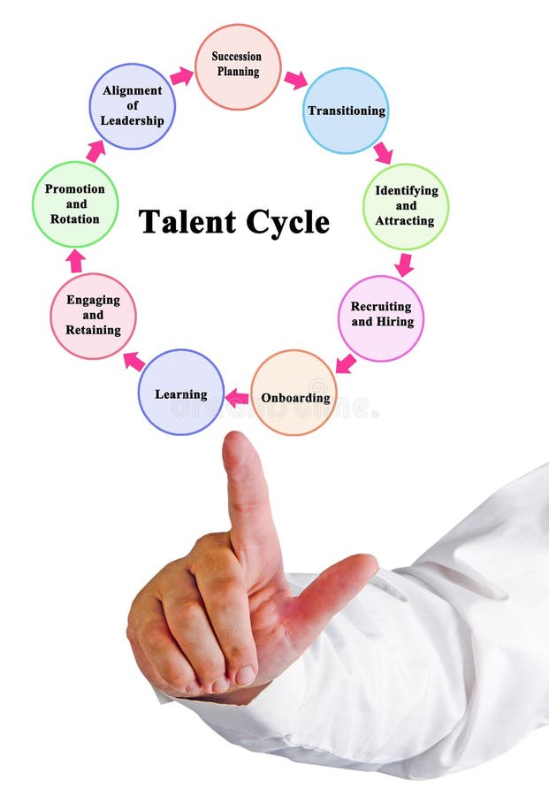 Components of Talent Management Stock Photo - Image of assess, concept ...
