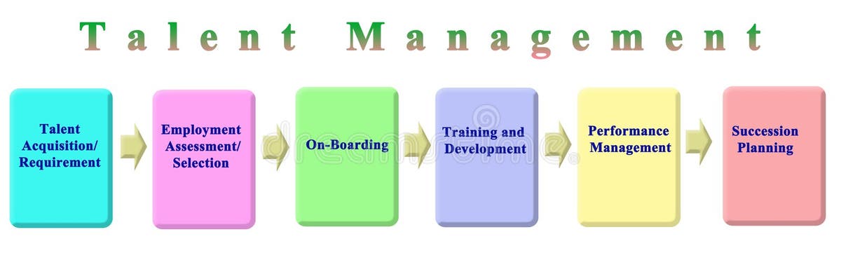 Talent Management Stock Illustrations – 9,432 Talent Management Stock ...