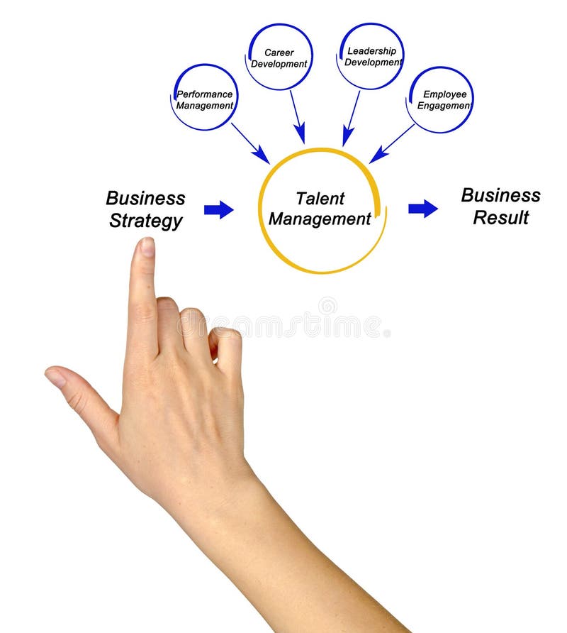 Talent Management Process stock image. Image of skills - 143477807