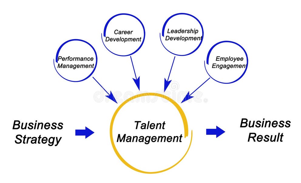 Talent Management Process stock illustration. Illustration of employee ...