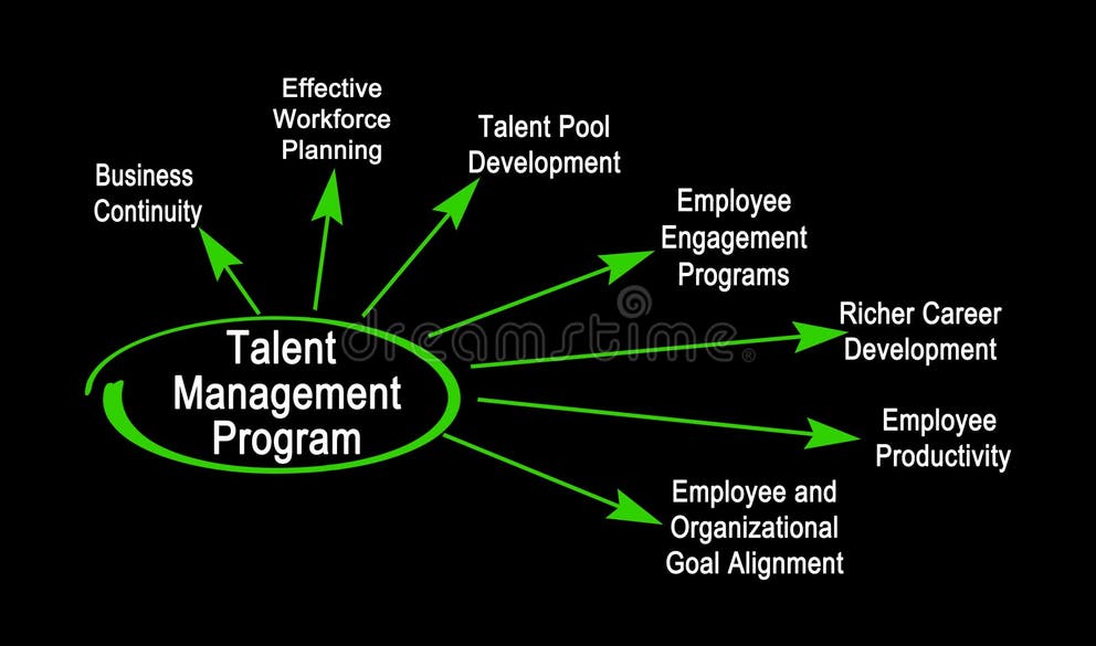 Talent Management Program stock illustration. Illustration of 1667 ...