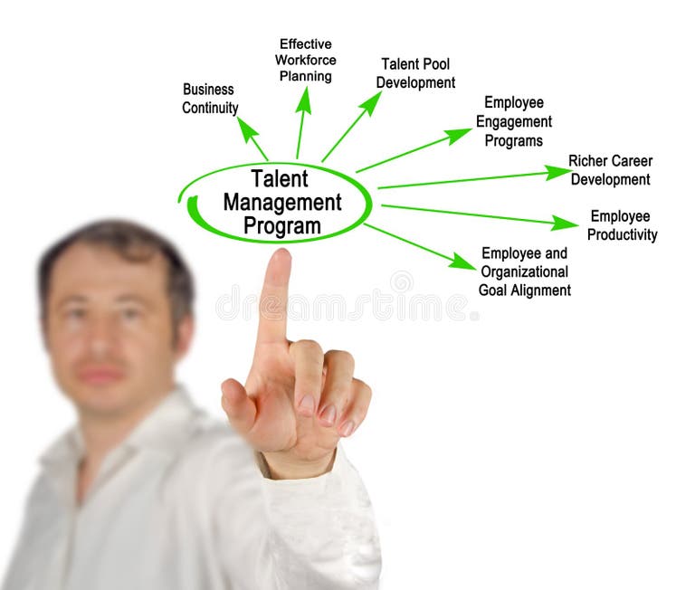 Talent Management Program stock photo. Image of pool - 239566414