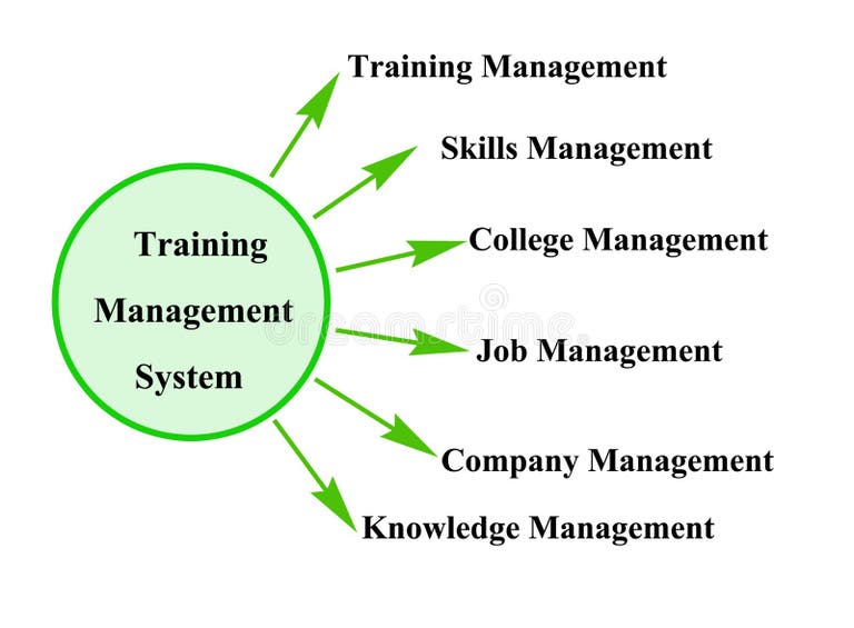 Components of Training Management System Stock Illustration ...