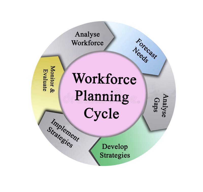 Workforce Planning Cycle stock photo. Image of concept - 148962084