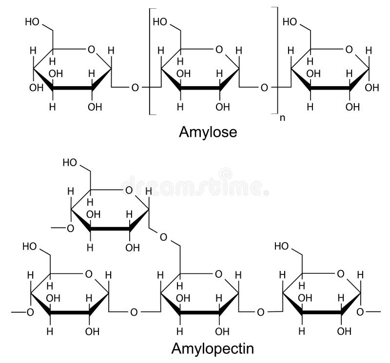 Composants Structurels De L'amidon. Formule Chimique Illustration de ...