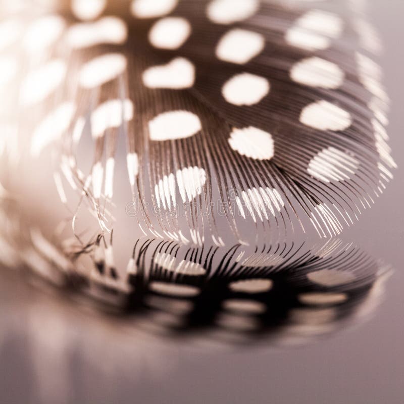 Composição Abstrata Com Textura Da Folha Foto de Stock - Imagem de ...