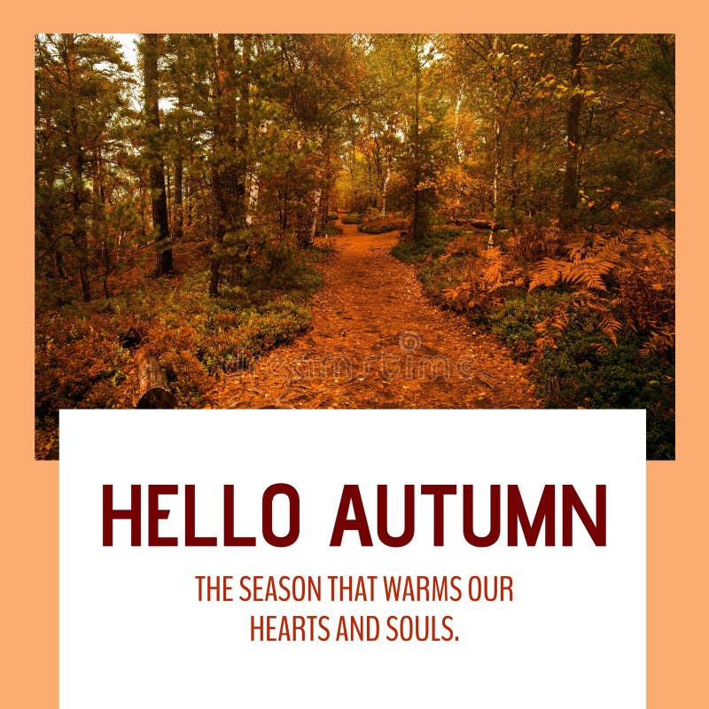 Composite of Hello Autumn Text Over Autumn Forest Stock Image - Image of montage, leaf: 286835587