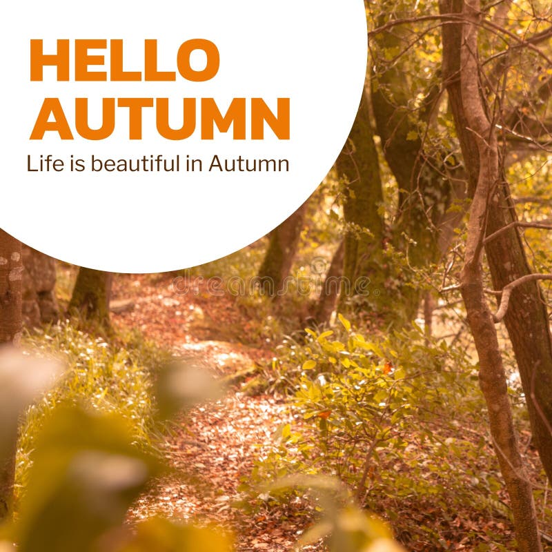 Composite of Hello Autumn Text Over Autumn Trees Stock Photo - Image of ...