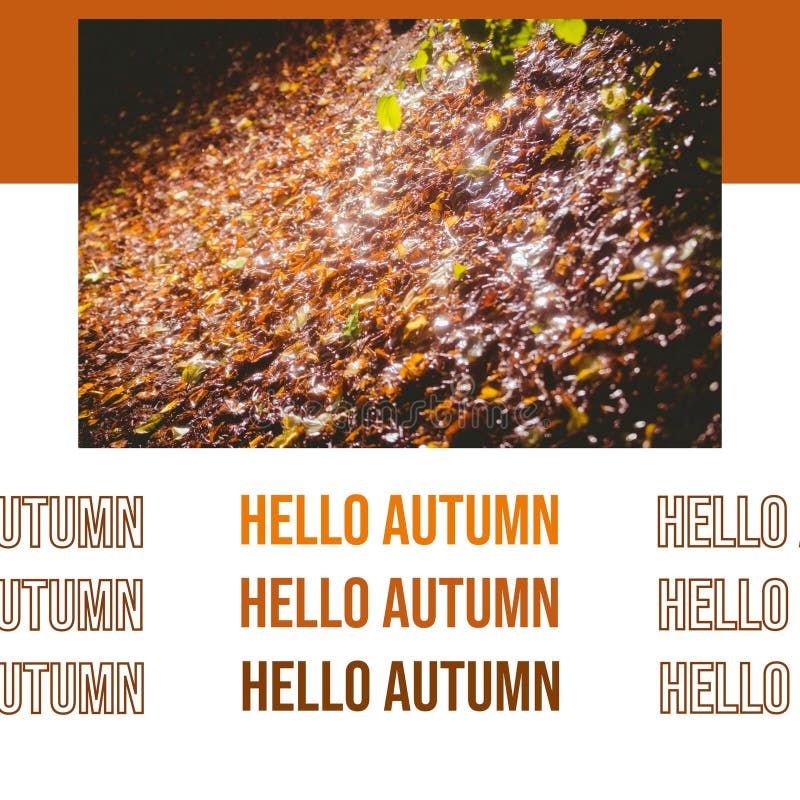 Composite of Hello Autumn Text Over Autumn Trees Stock Photo - Image of ...