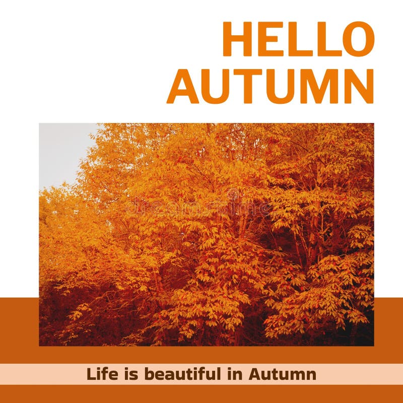 Composite of Hello Autumn Text Over Autumn Trees Stock Photo - Image of ...