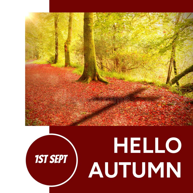 Composite of Hello Autumn Text Over Autumn Trees Stock Image - Image of ...