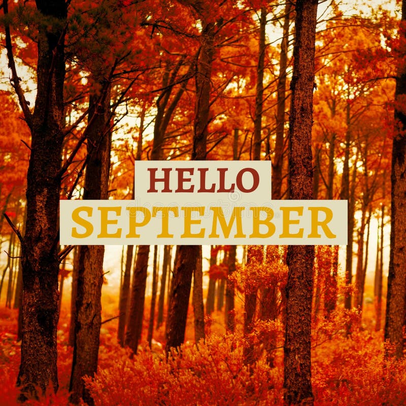 Composite of Hello September Text Over Autumn Trees in Forest Stock ...