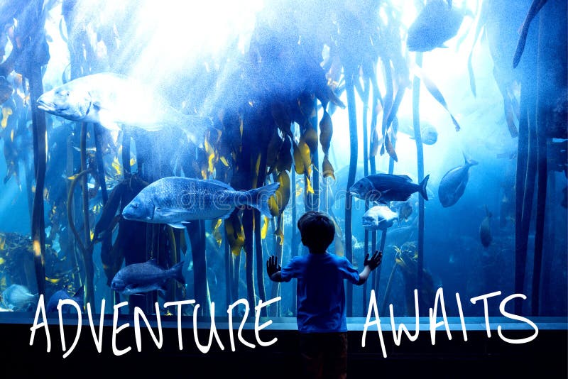 Composite Image of Adventure Awaits Stock Illustration - Illustration ...