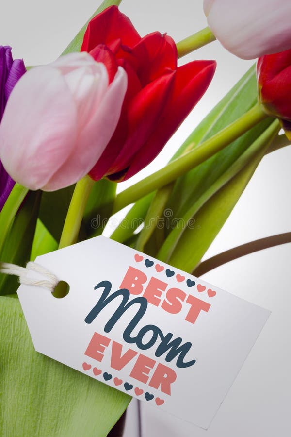 Composite Image of Best Mom Ever Stock Illustration - Illustration of ...