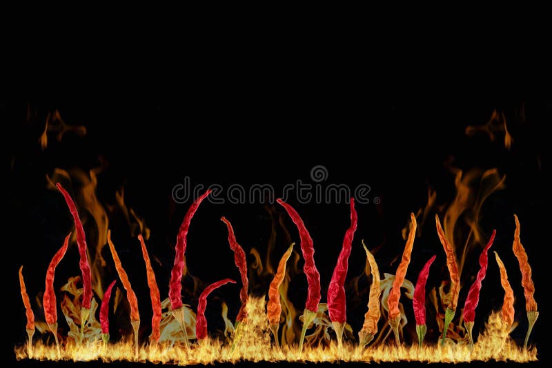 Chilli in flames stock image. Image of spicy, flames - 59728085