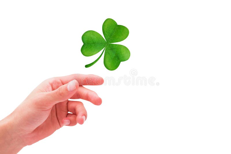 25,802 Shamrock Photos - Free & Royalty-Free Stock Photos from Dreamstime