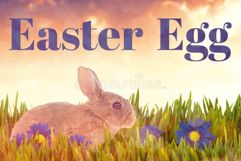 Cute Hdri Stock Illustrations – 11 Cute Hdri Stock Illustrations ...