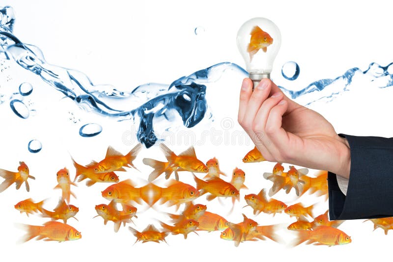 Composite Image of Side View of Fish Swimming Stock Image - Image of ...