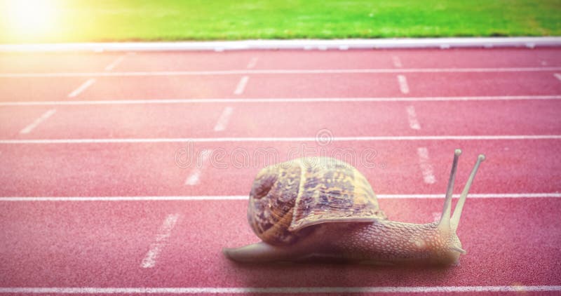 Snail on running track stock image. Image of sports, snail - 13434401