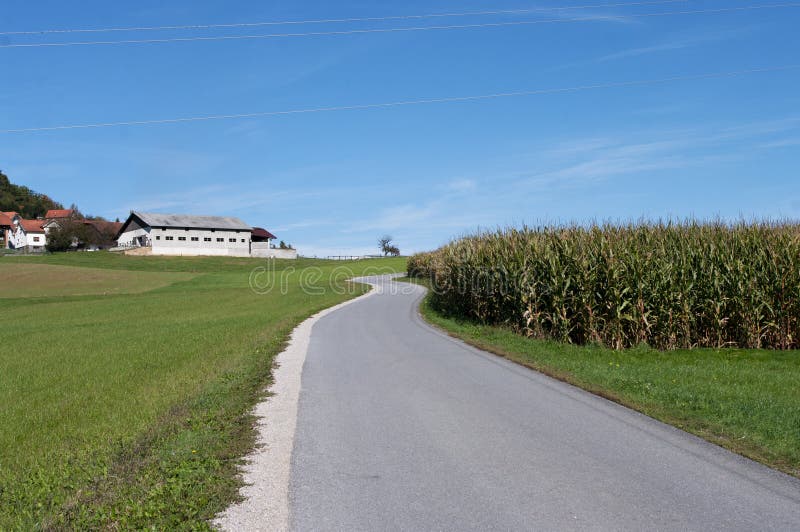 Composite Landscape, Road Going Down the Hill through Fields of Farm ...
