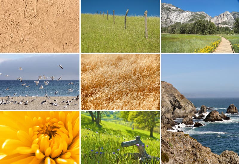 Composite of nature images stock photo. Image of combo - 36319972
