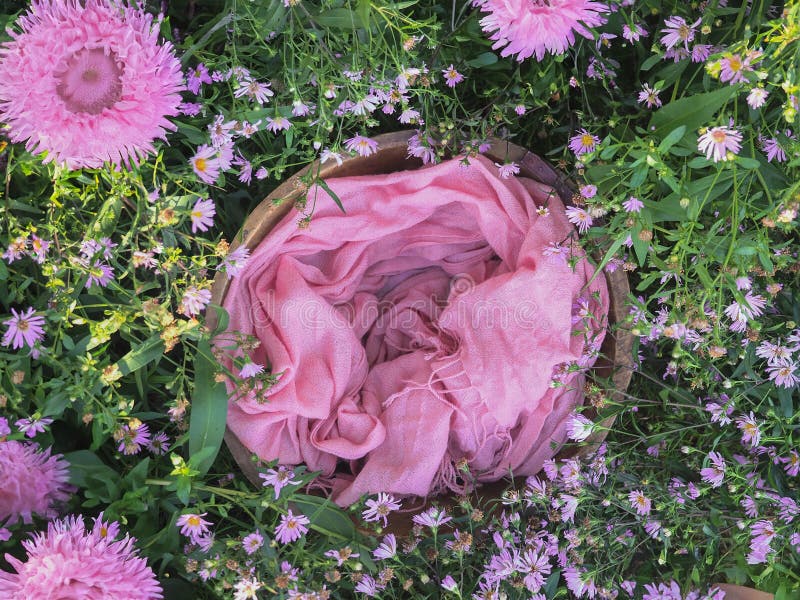 129 Empty Baby Basket Props Free Stock Photos - Free & Royalty-Free ...