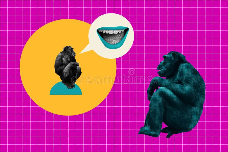 Composite Photo Collage of Funny Monkey Chimp Sit Text Box Bubble ...