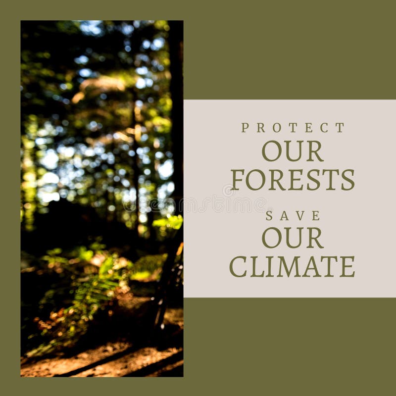 Composite of Protect Our Forests and Save Our Climate Text and ...