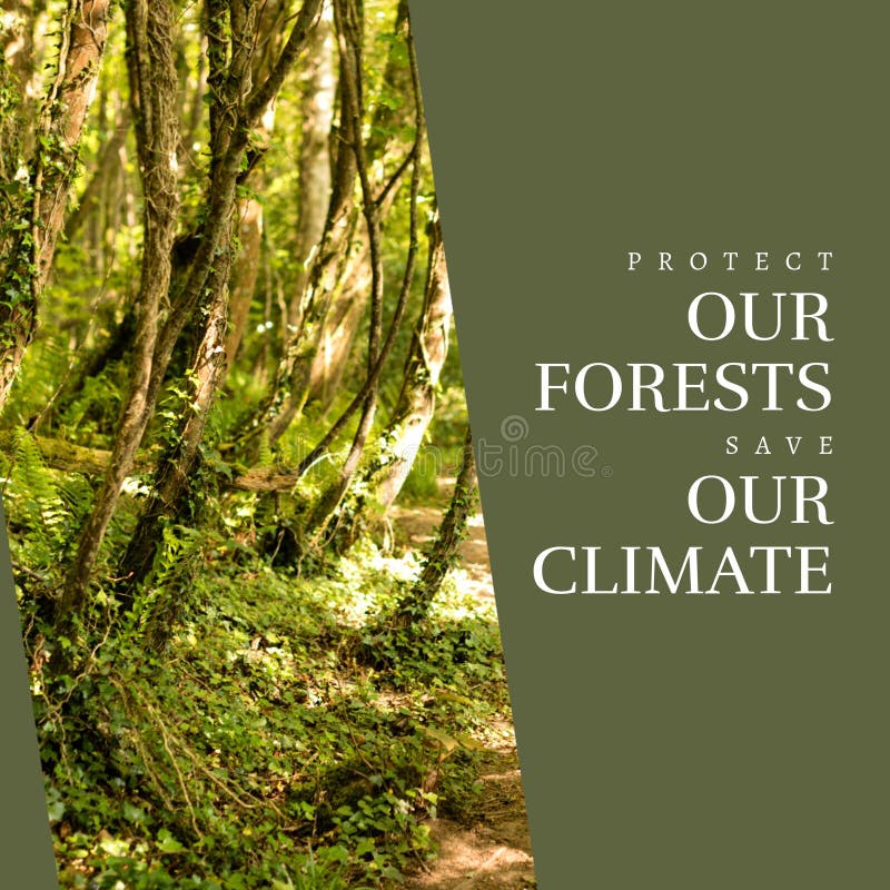Composite of Protect Our Forests and Save Our Climate Text and Trees ...