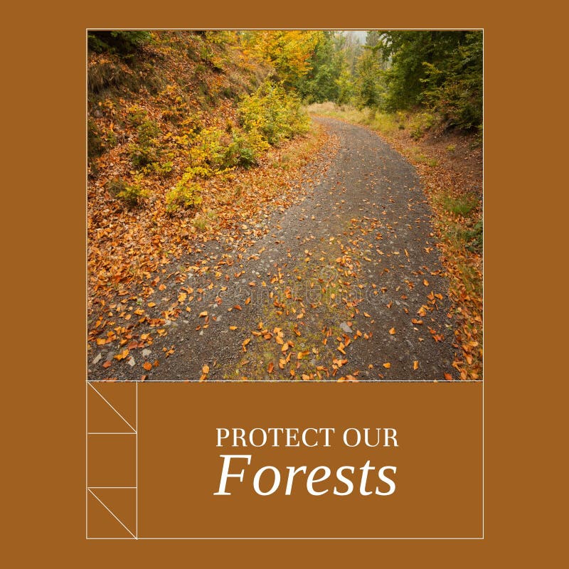Composite of Protect Our Forests Text and Scenic View of Empty Trail ...